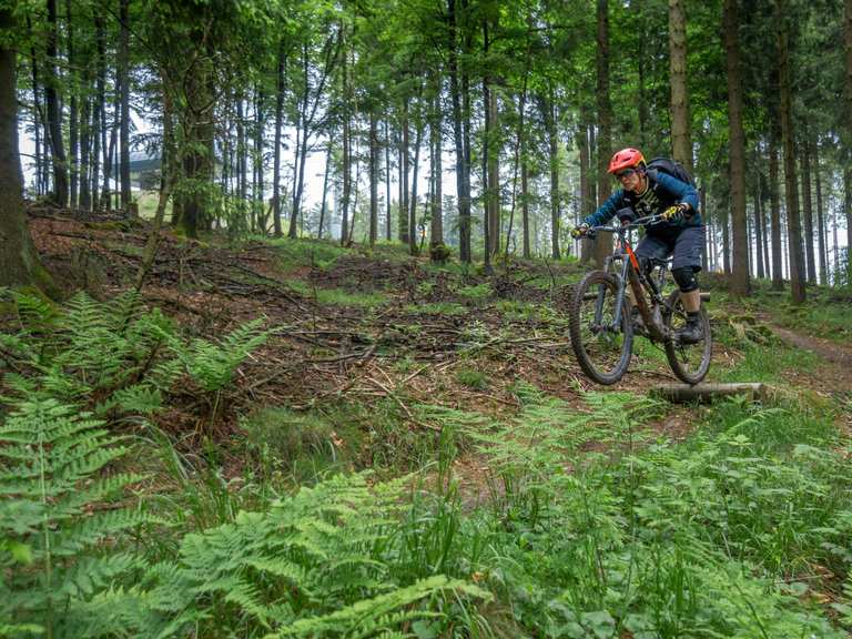 TrailPark Winterberg - Mountain Bike Trails & Tracks | Komoot