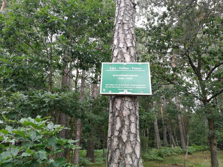 Lips-Tullian-Felsen: Mountainbike-Touren und -Trails | komoot