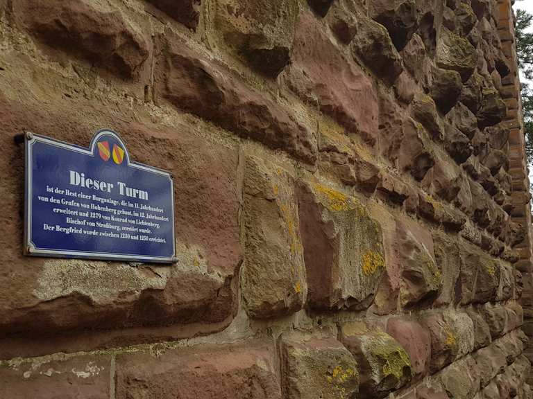 Turmberg KA-Durlach: Wanderungen und Rundwege | komoot