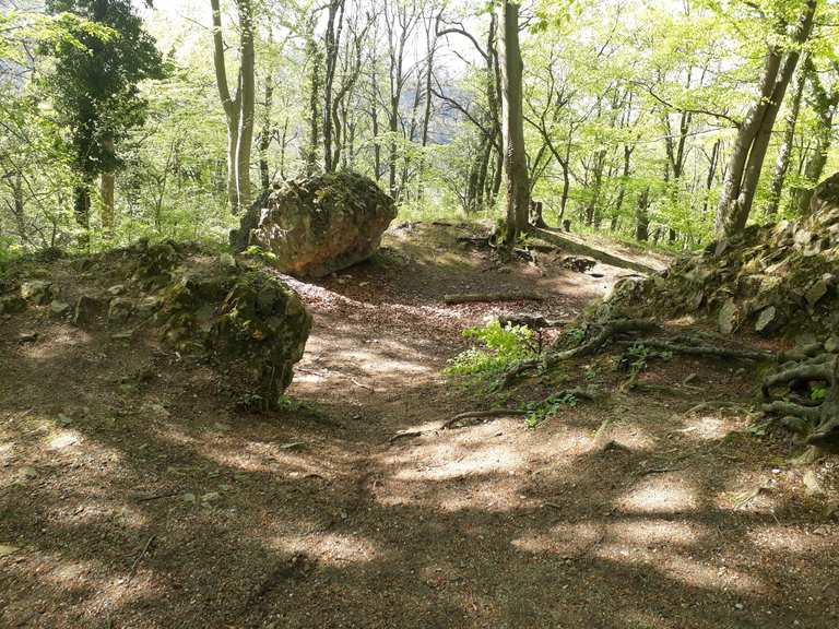 Ruine Hirschburg: Wanderungen und Rundwege | komoot