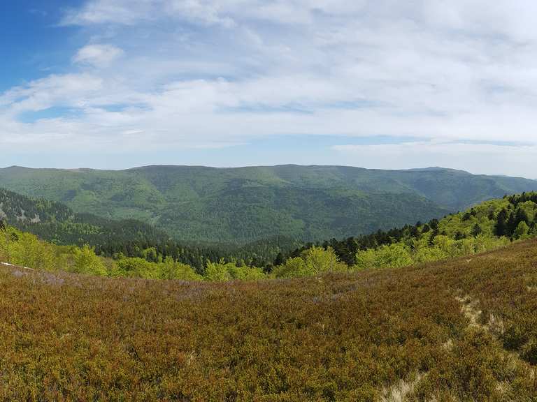 Le Grand Ventron - Itinéraires de rando et marche | Komoot