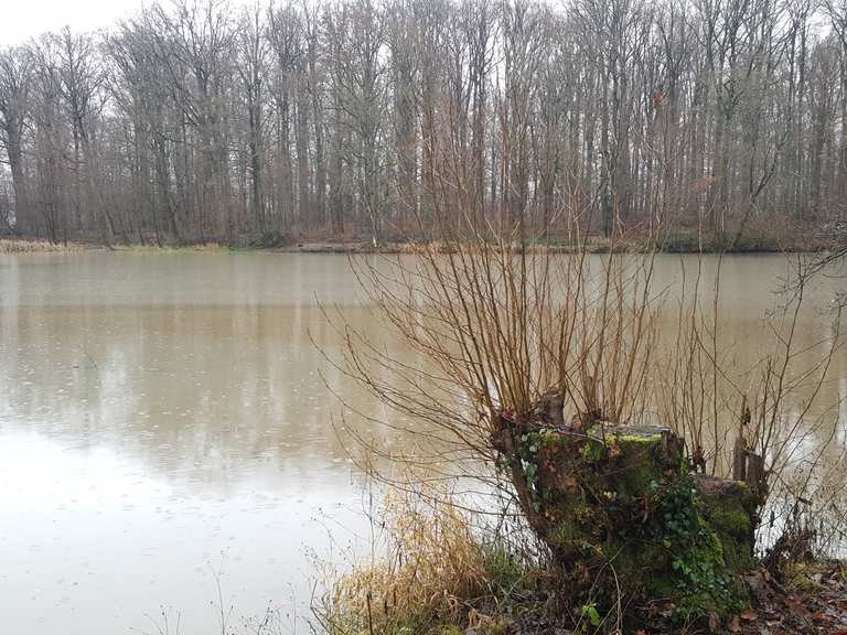 Annasee: Wanderungen und Rundwege | komoot