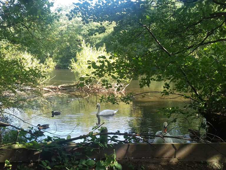 Compstall Nature Reserve Routes for Walking and Hiking | Komoot