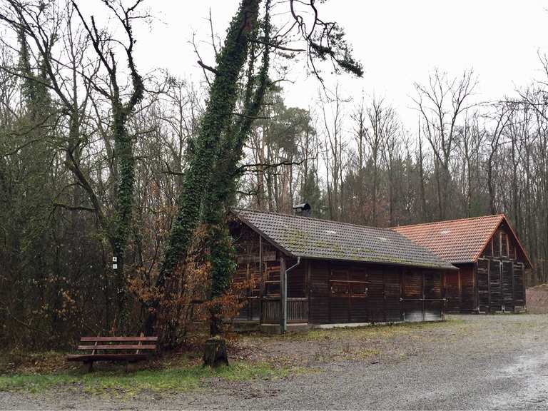 Hütten Forstrevier Dahenfeld: Wanderungen und Rundwege | komoot
