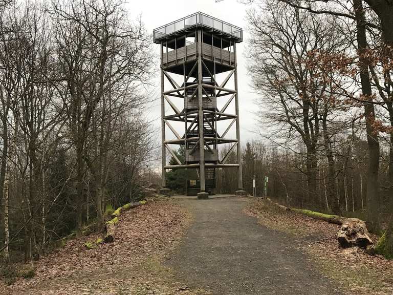 Winterstein - Mountain Bike Trails & Tracks | Komoot