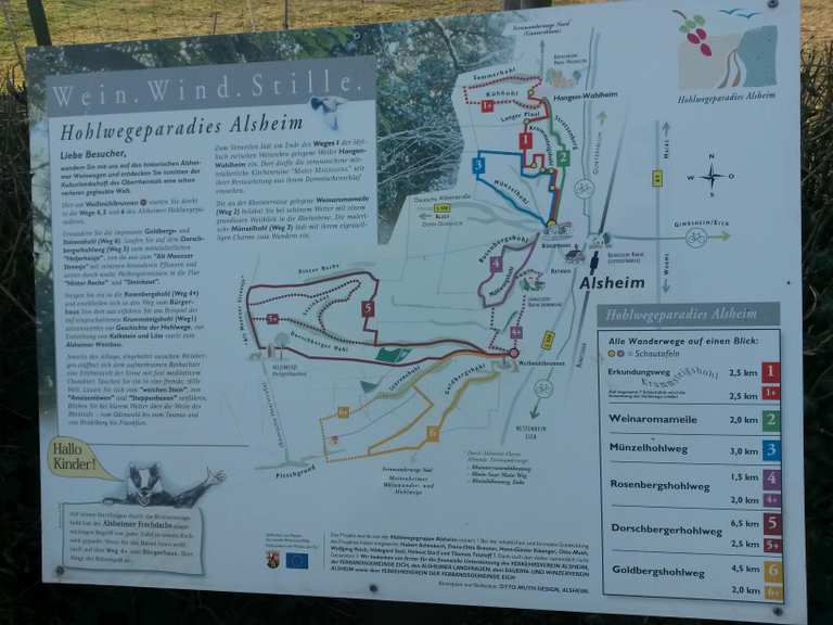 Hohlwege in und um Alsheim Routes for Walking and Hiking | Komoot
