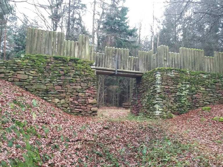 Ringwallanlage: Wanderungen und Rundwege | komoot