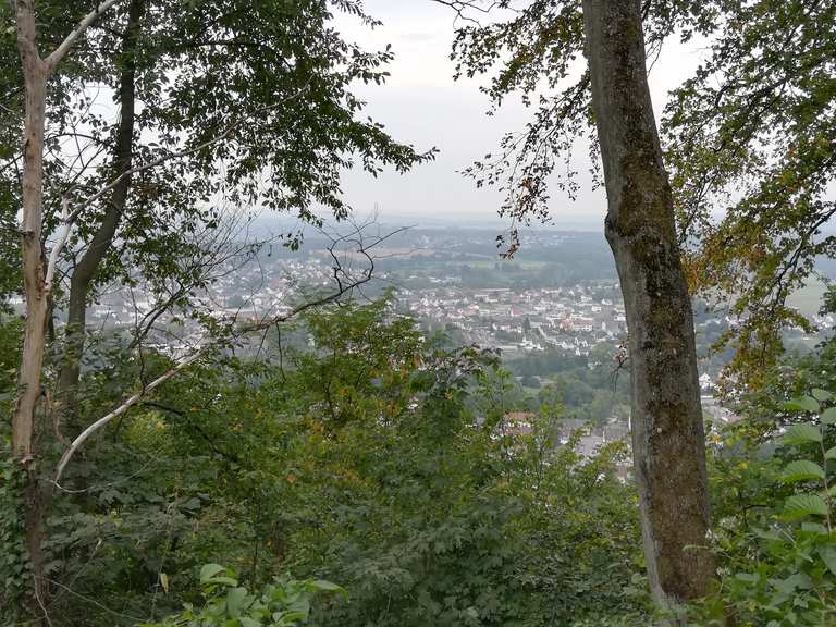 Golfbaan naar S-Trail: MTB-routes en trails | Komoot