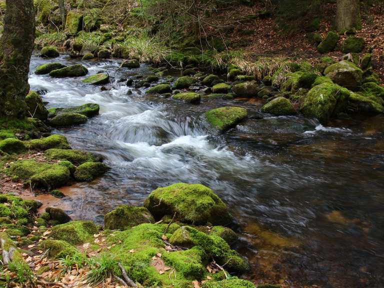Eyach Wasserwegle: Wanderungen und Rundwege | komoot