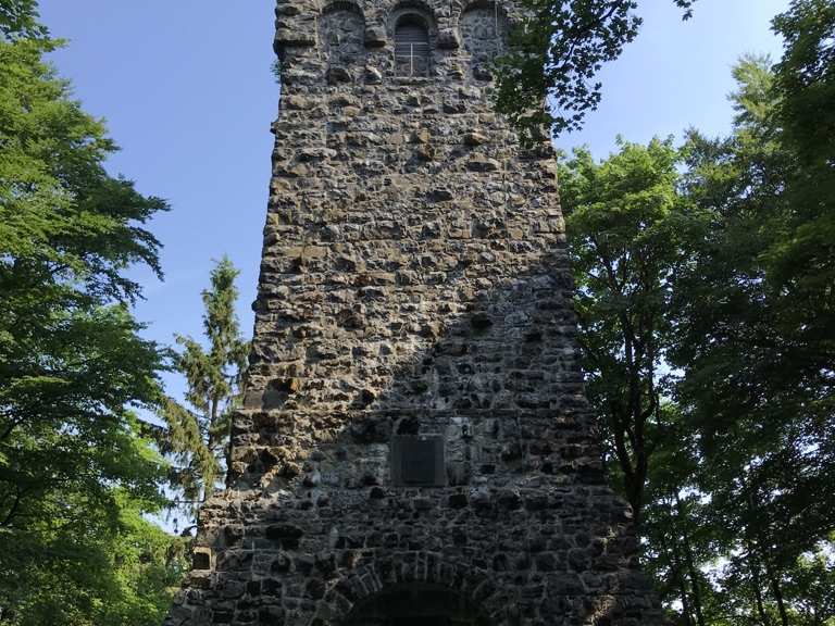 Taufstein: Wanderungen und Rundwege | komoot