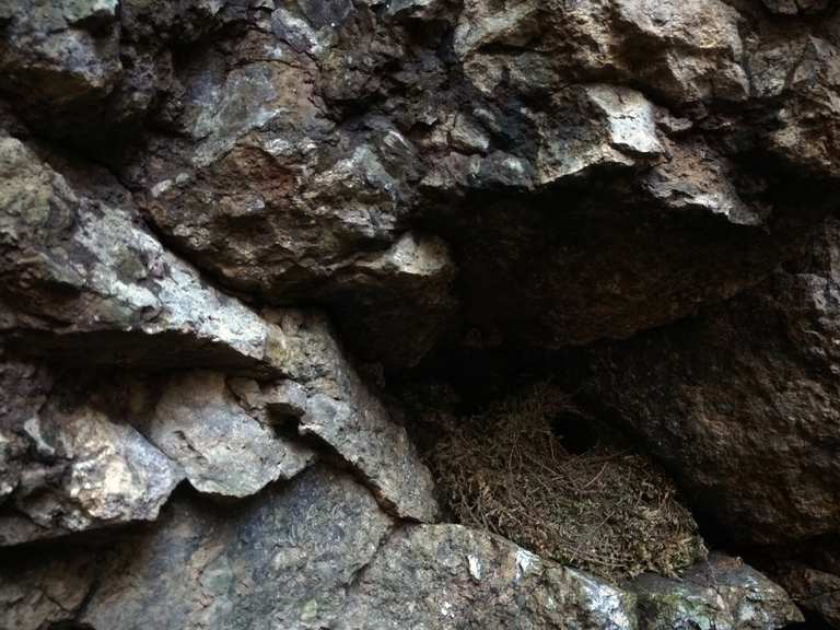 Alter Basaltsteinbruch: Wanderungen und Rundwege | komoot