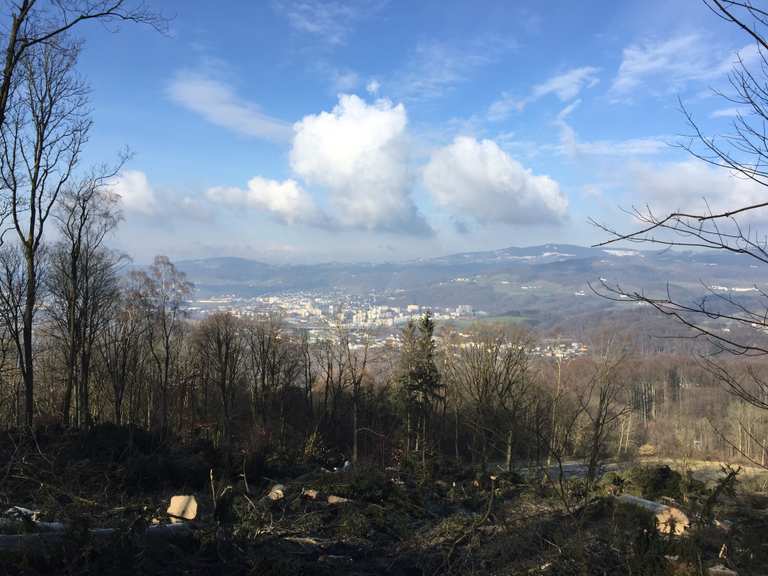 Pfenningberg – Blick auf Linz loop from Plesching | hike | Komoot