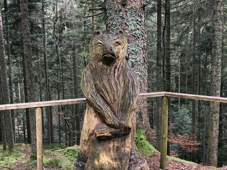 Zauberwald - Routes for Walking and Hiking | Komoot