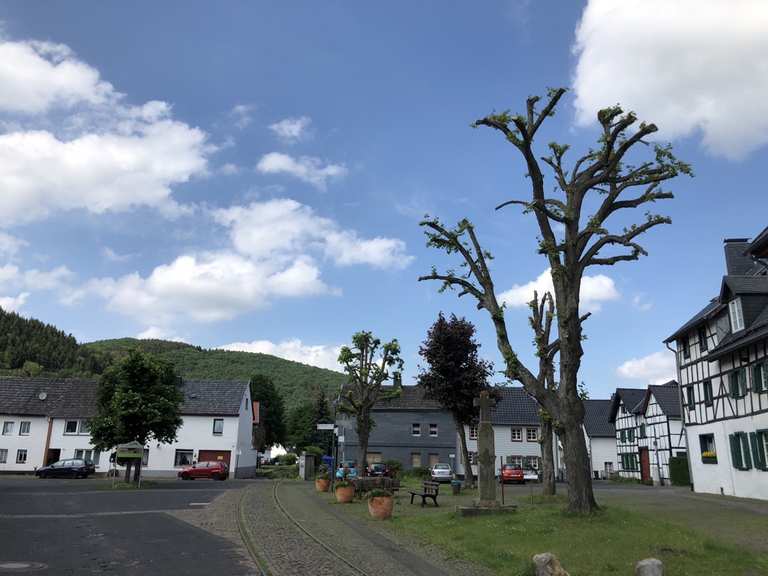 Dorfplatz Olef: Wanderungen und Rundwege | komoot
