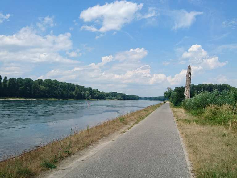 Direkt am Rhein entlang: Radtouren und Radwege | komoot