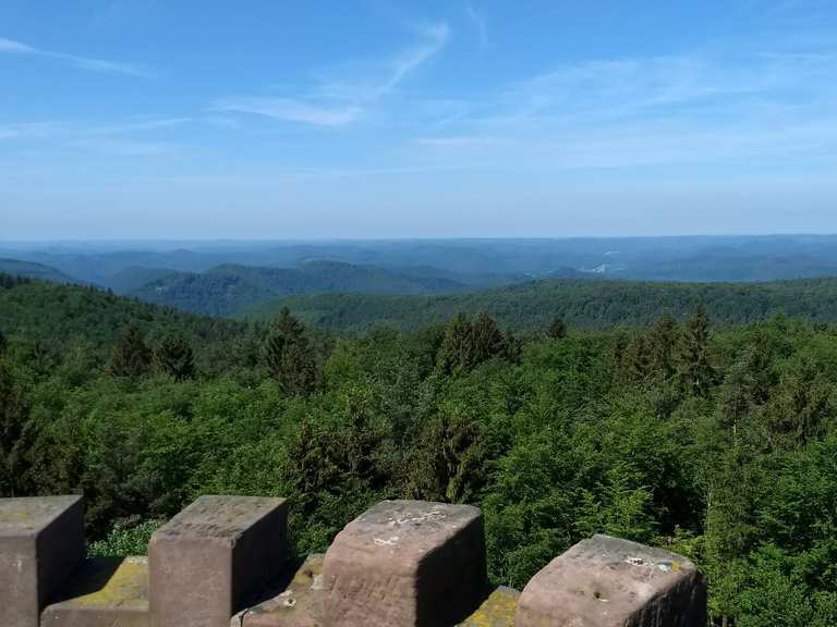 Großer Wintersberg: Wanderungen und Rundwege | komoot
