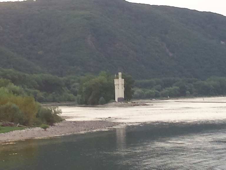 Rhein-Nahe-Eck in Bingen : Radtouren und Radwege | komoot