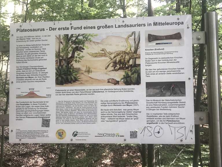 Fundort Plateosaurus-Knochen: Mountainbike-Touren und -Trails | komoot