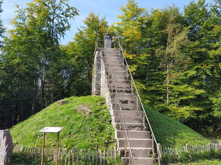 Signal de Botrange (uitdagend) – Speed-Hikes Nederland en België ...