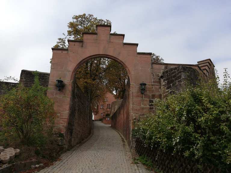 Burg Rieneck: Wanderungen und Rundwege | komoot