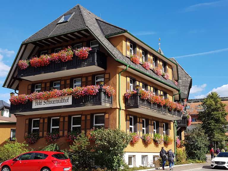 Hinterzarten Routes for Walking and Hiking | Komoot