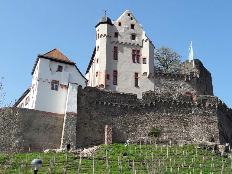 Burg Alzenau Routes for Walking and Hiking | Komoot