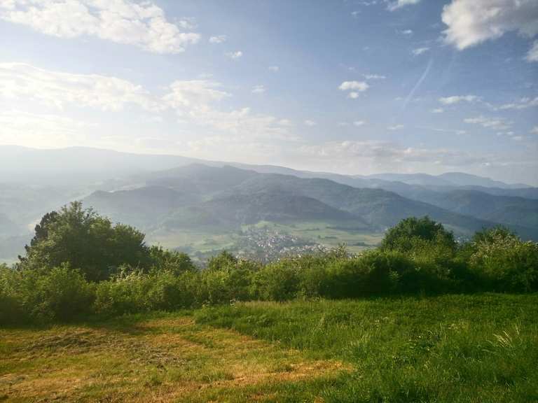 Schönberg Gipfel – Ausblick auf Schneeburg Runde von Vauban | Wanderung ...