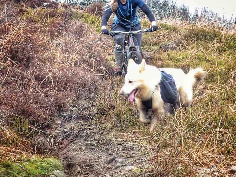Top of Derwent Edge into the Resevoir Mountain Bike Trails & Tracks ...