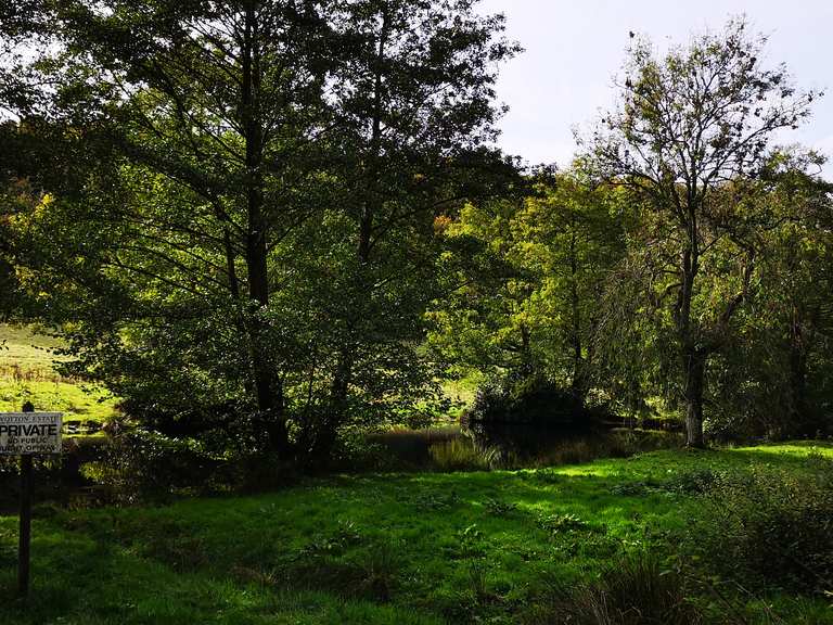 Tillingbourne Waterfall (periodically) Routes for Walking and Hiking ...