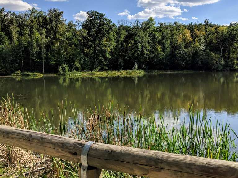 Katzenbachsee: Wanderungen und Rundwege | komoot
