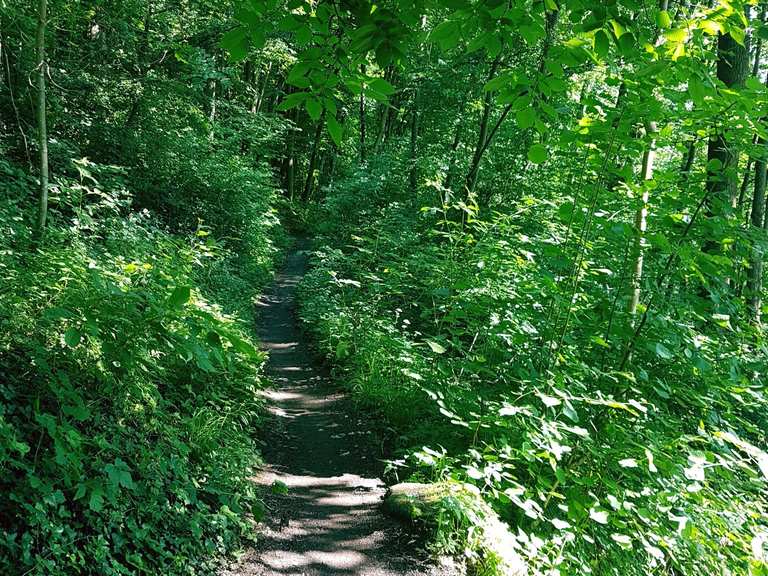 Enger Weg am Abgrund: Mountainbike-Touren | komoot