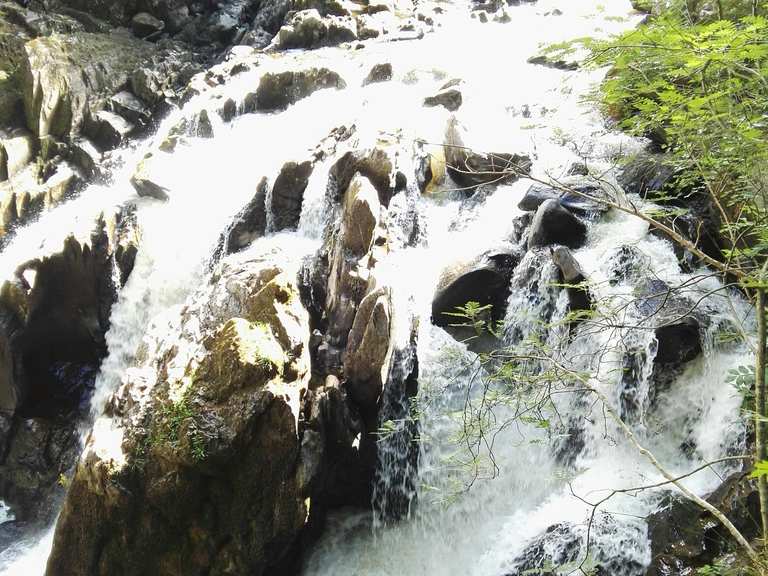 The Hermitage Routes for Walking and Hiking | Komoot