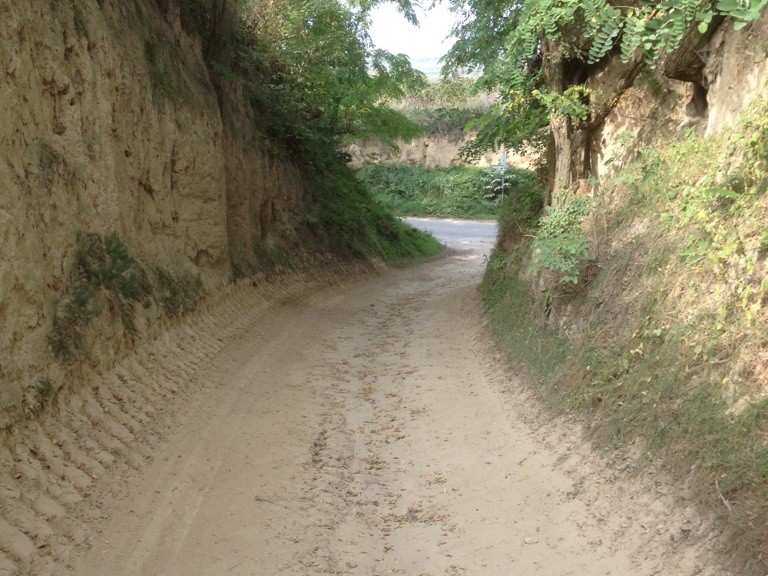 Hohlwege in und um Alsheim Routes for Walking and Hiking | Komoot