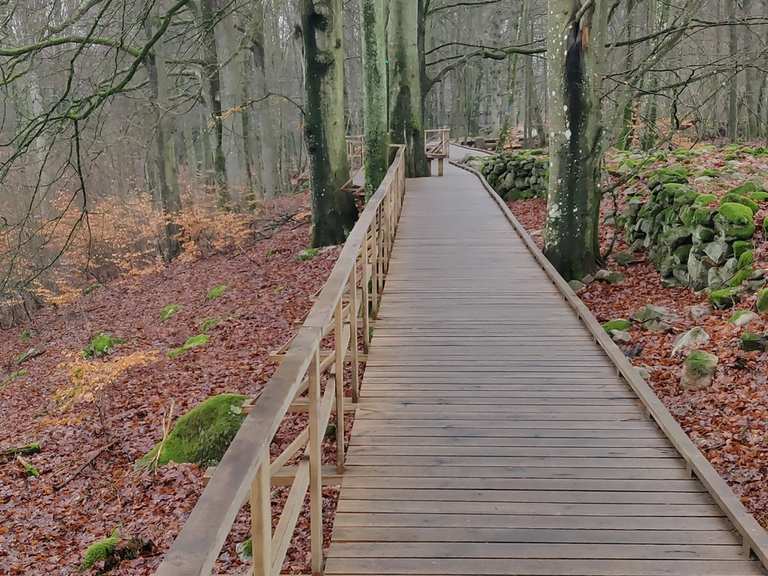 Fulltofta naturcentrum Routes for Walking and Hiking | Komoot