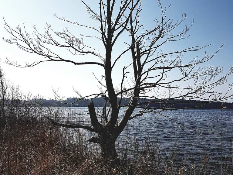 Stubbe See: Wanderungen und Rundwege | komoot