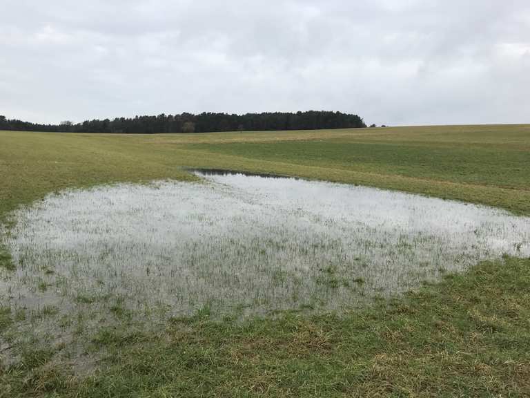 Kreuzung der ST 2243 – Wanderungen & Anfahrt | Komoot