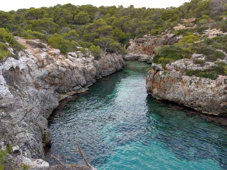 Cala Beltrán: Wanderungen und Rundwege | komoot