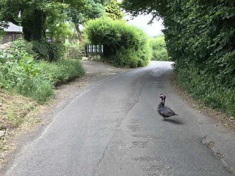 Back Lane to Longleat Estate - Cycle Routes and Map | Komoot