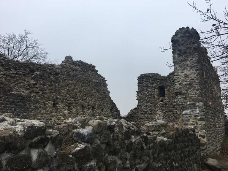 Ruine Helfenberg Routes for Walking and Hiking | Komoot