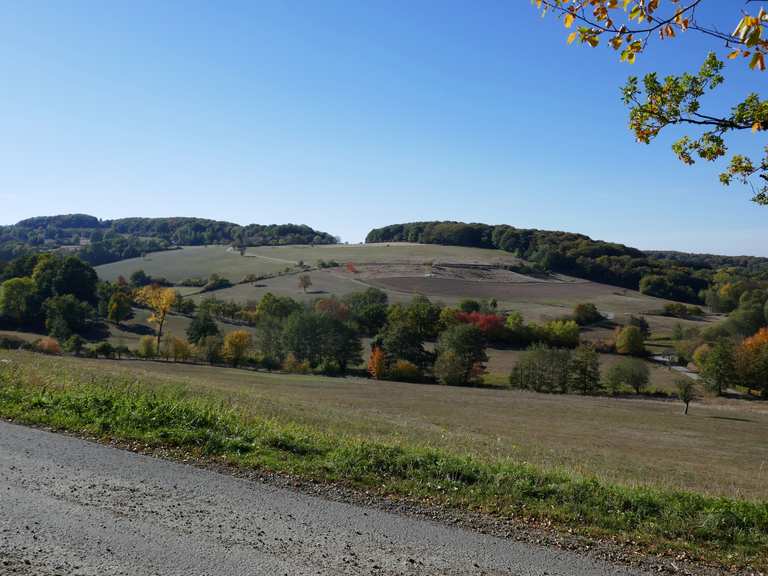 Ausblick bei Marienthal: Wanderungen und Rundwege | komoot