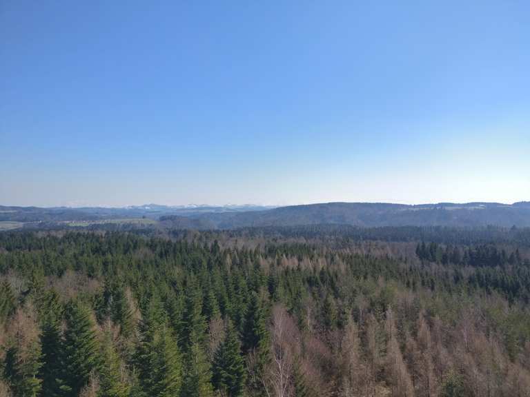 Eschenbergturm: Wanderungen und Rundwege | komoot
