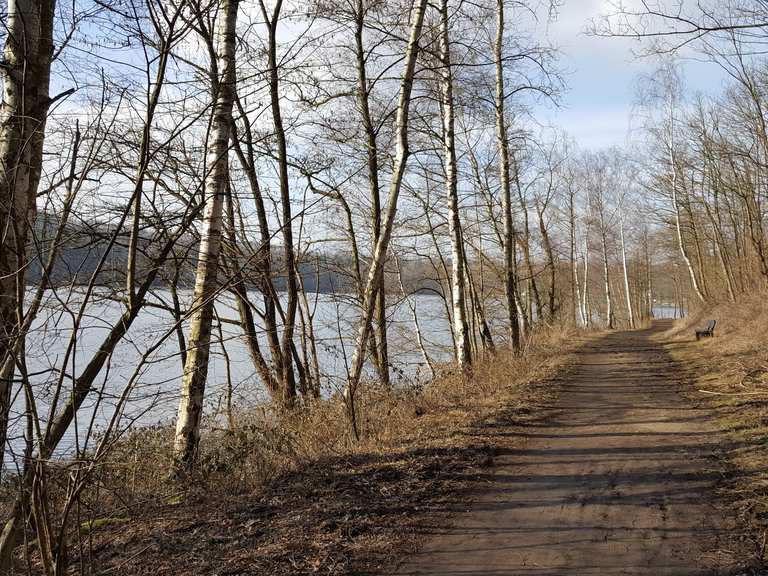 Heider Bergsee: Wanderungen und Rundwege | komoot