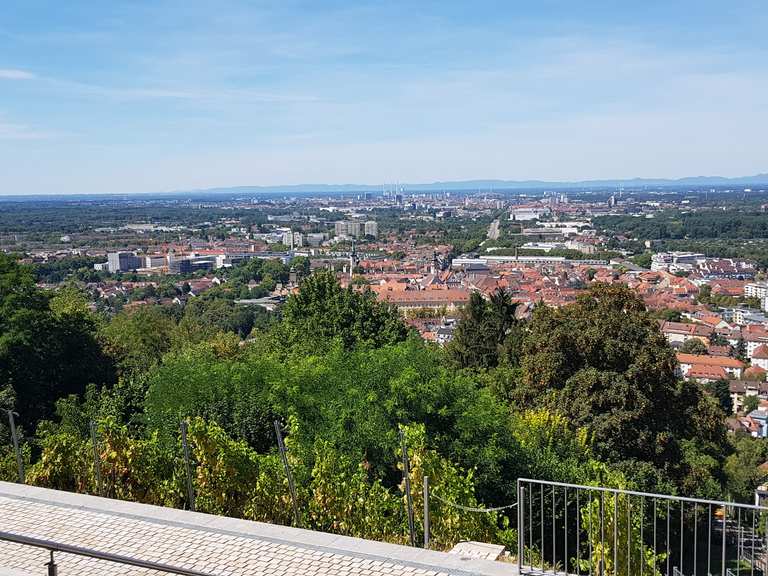 Turmberg Durlach - Mountain Bike Trails & Tracks | Komoot