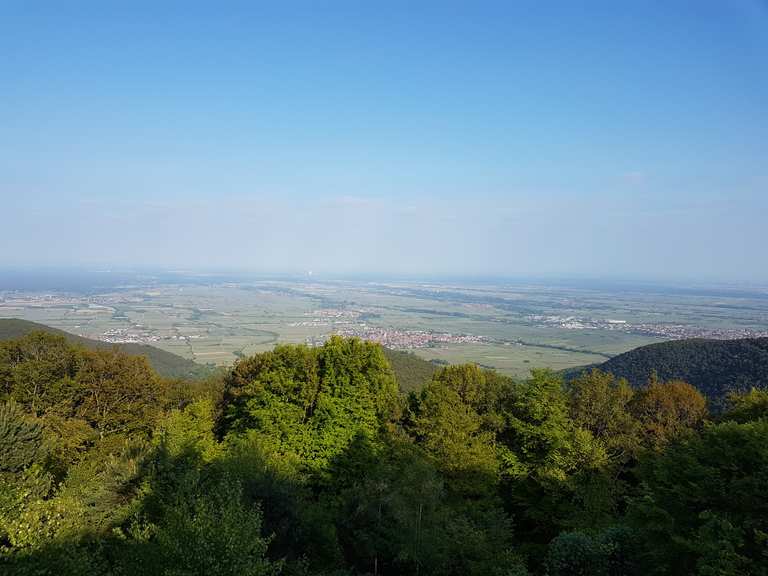Kalmit - Maikammer, Südliche Weinstraße | Hiking Tips & Photos | Komoot
