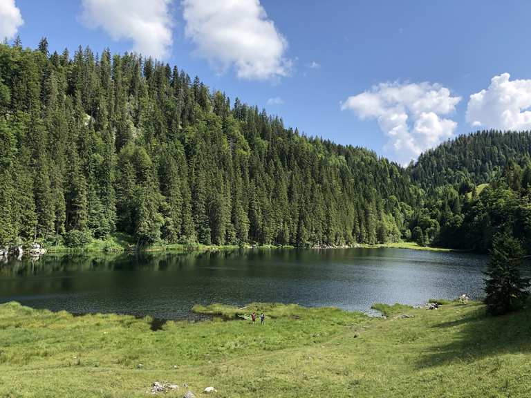 Taubensee: Wanderungen und Rundwege | komoot