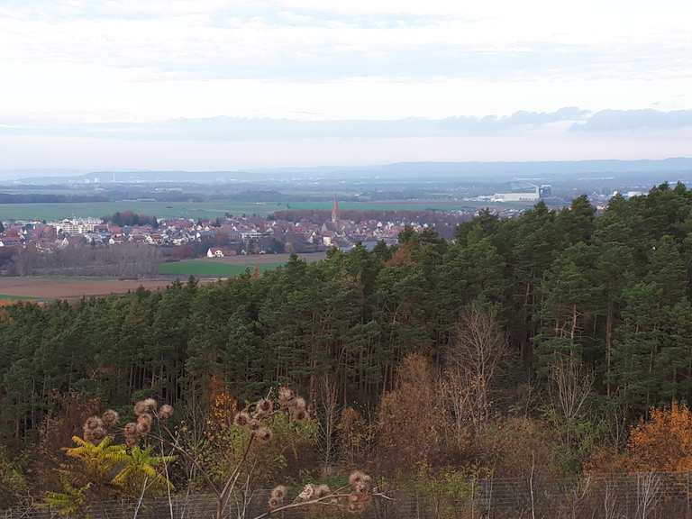 Schuttberg - Tolle Aussicht - Mountain Bike Trails & Tracks | Komoot