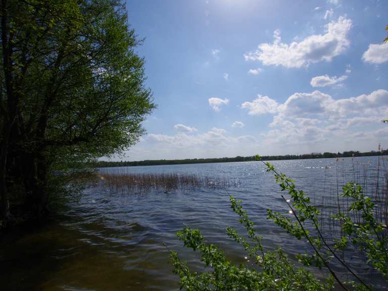 Wandlitzsee : percorsi escursionistici e trekking | Komoot