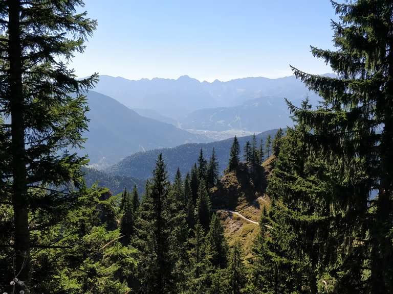 Laber Berg: Wanderungen und Rundwege | komoot