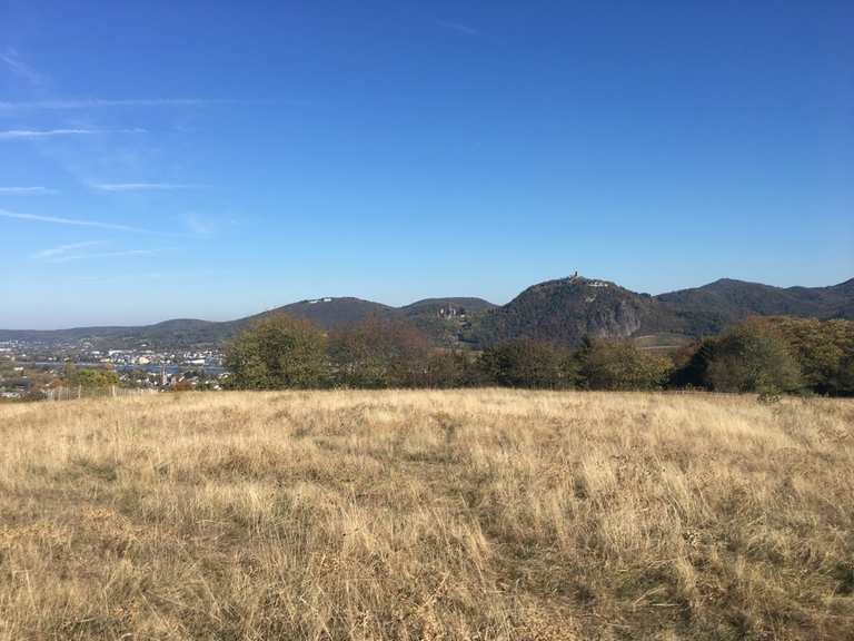 Naturschutzgebiet Rodderberg: Wanderungen und Rundwege | komoot
