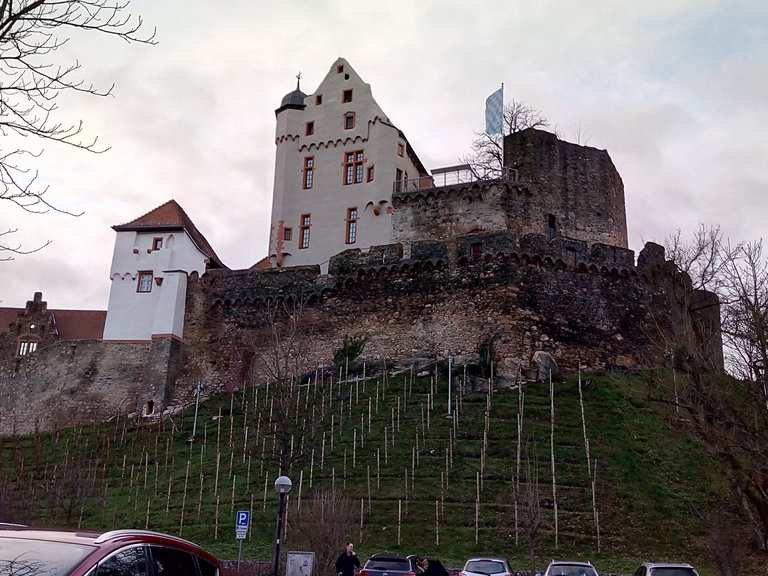 Burg Alzenau Routes for Walking and Hiking | Komoot